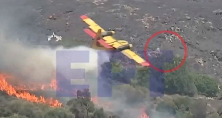 Video που κόβει την ανάσα- Η στιγμή της πτώσης του Canadair στην ...
